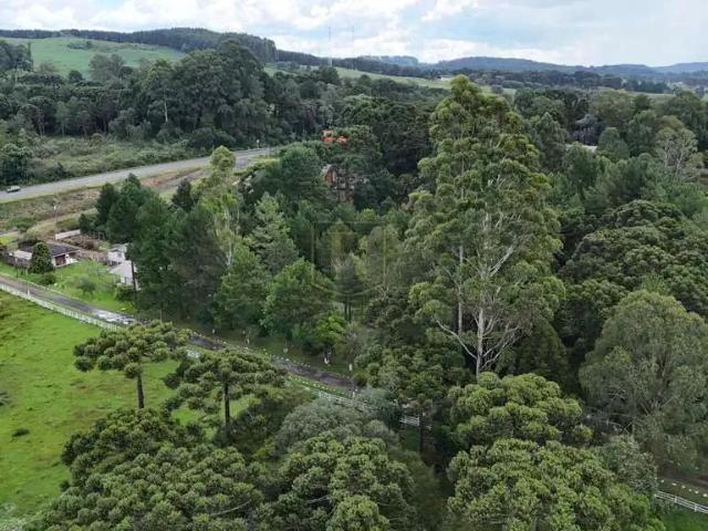 Sítio / Chácara para Venda em Guarapuava/PR Área Rural de Guarapuava