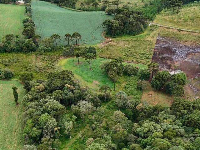 Sítio / Chácara para Venda em Guarapuava/PR Área Rural de Guarapuava