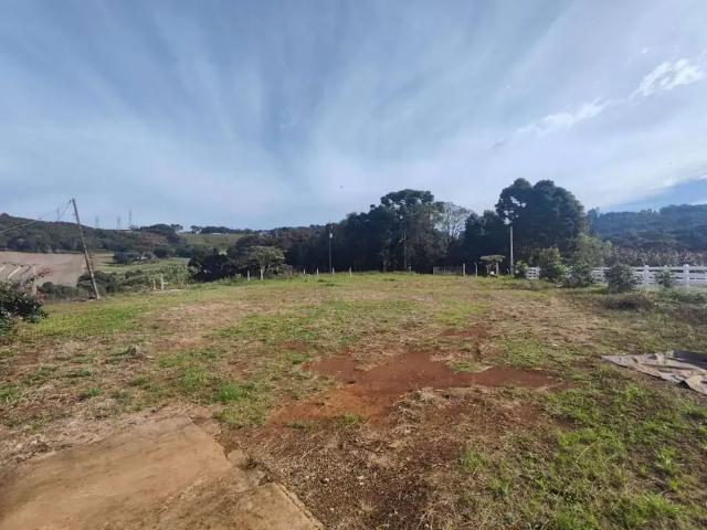 Sítio / Chácara para Venda em Guarapuava/PR Área Rural de Guarapuava