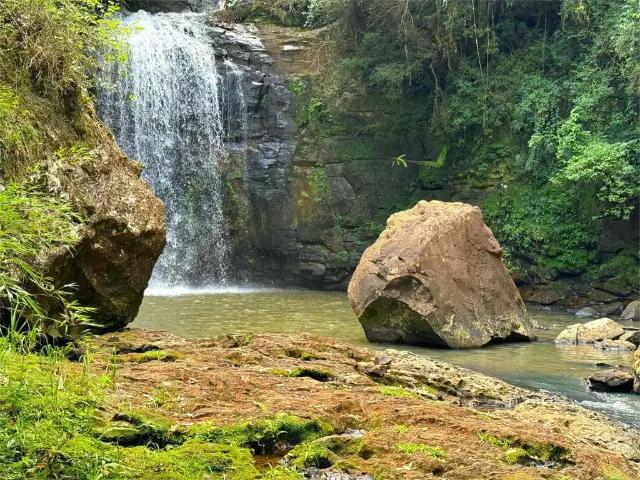Sítio / Chácara para Venda em Guarapuava/PR Área Rural de Guarapuava