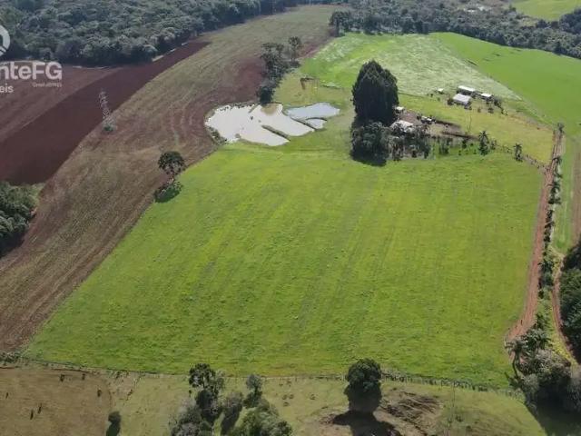 Sítio / Chácara para Venda em Guarapuava/PR Área Rural de Guarapuava