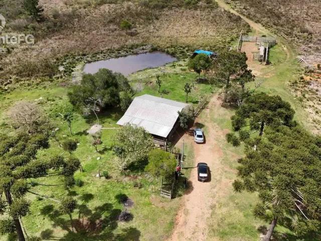 Sítio / Chácara para Venda em Guarapuava/PR Área Rural de Guarapuava