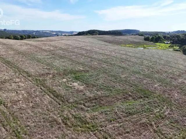 Sítio / Chácara para Venda em Guarapuava/PR Área Rural de Guarapuava