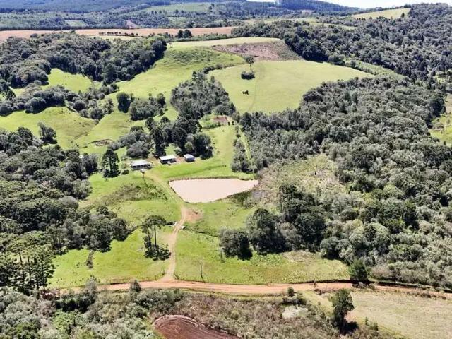 Sítio / Chácara para Venda em Guarapuava/PR Área Rural de Guarapuava