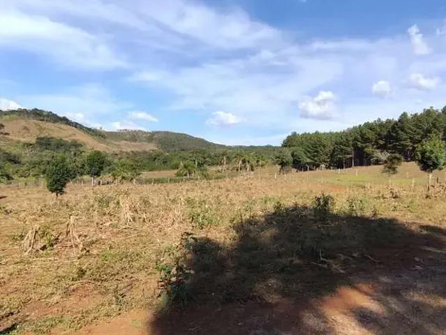 Sítio / Chácara para Venda em Guarapuava/PR Área Rural de Guarapuava