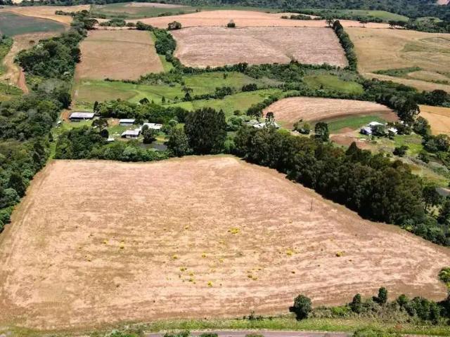 Sítio / Chácara para Venda em Guarapuava/PR Área Rural de Guarapuava