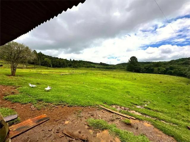 Sítio / Chácara para Venda em Guarapuava/PR Área Rural de Guarapuava