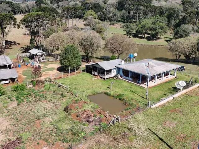 Sítio / Chácara para Venda em Guarapuava/PR Área Rural de Guarapuava