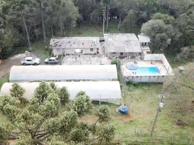 Sítio / Chácara para Venda em Guarapuava/PR Área Rural de Guarapuava