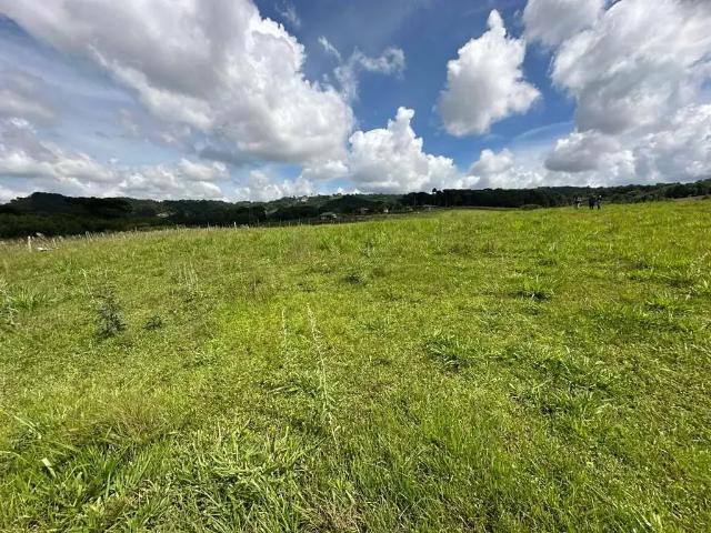 Sítio / Chácara para Venda em Guarapuava/PR Área Rural de Guarapuava