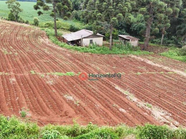 Sítio / Chácara para Venda em Guarapuava/PR Área Rural de Guarapuava 3 Quartos