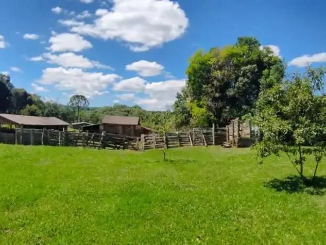 Sítio / Chácara para Venda em Guarapuava/PR Palmeirinha