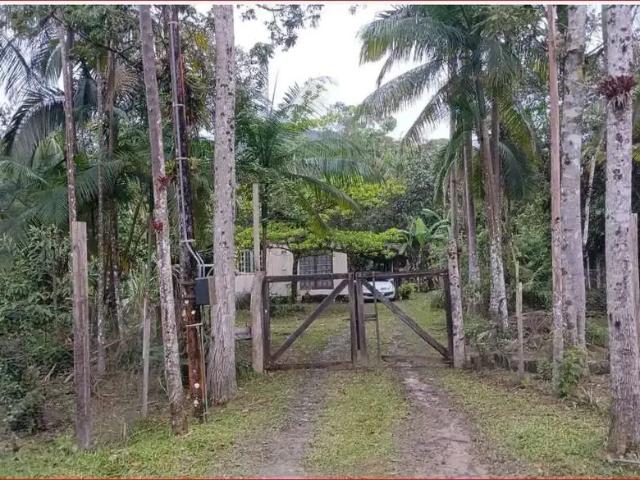 Sítio / Chácara para Venda em Guaraqueçaba/PR Zona Rural 3 Quartos
