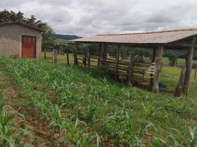 Sítio / Chácara para Venda em Guareí/SP Zona Rural 2 Quartos