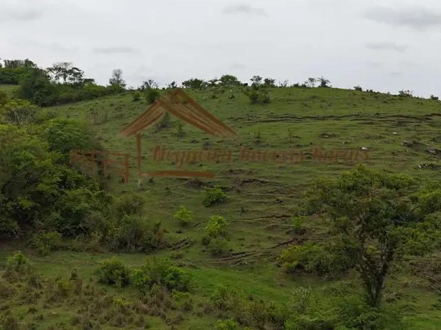 Sítio / Chácara para Venda em Guareí/SP Zona Rural