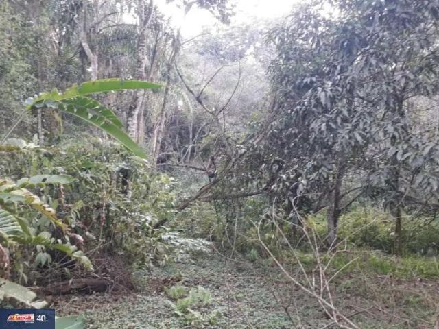 Sítio / Chácara para Venda em Guarulhos/SP Água Azul 1 Quartos