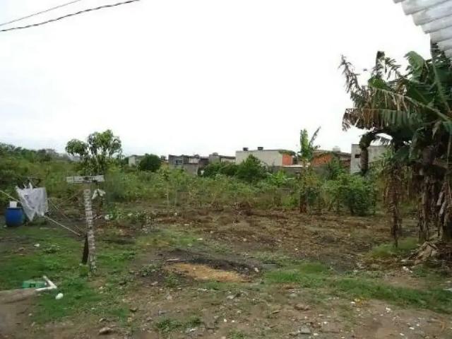 Sítio / Chácara para Venda em Guarulhos/SP Jardim Presidente Dutra