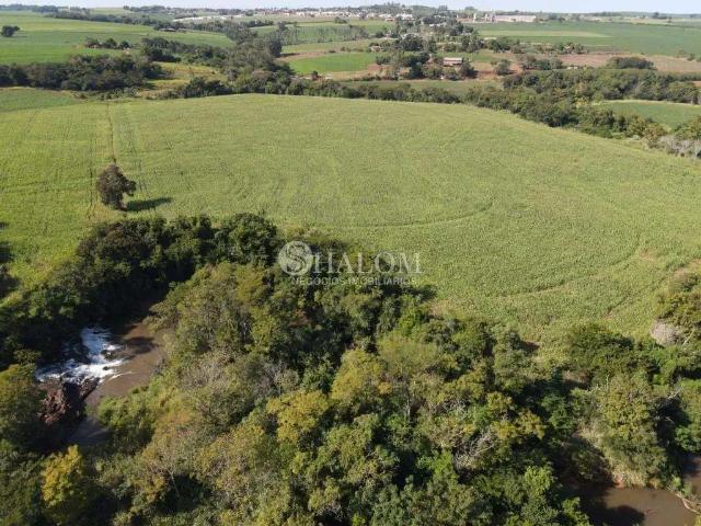 Sítio / Chácara para Venda em Doutor Camargo/PR Zona Rural