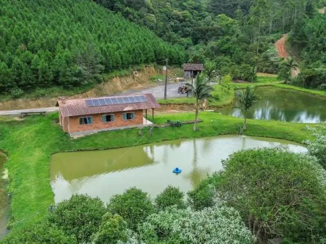 Sítio / Chácara para Venda em Doutor Pedrinho/SC Capivari 1 Quartos