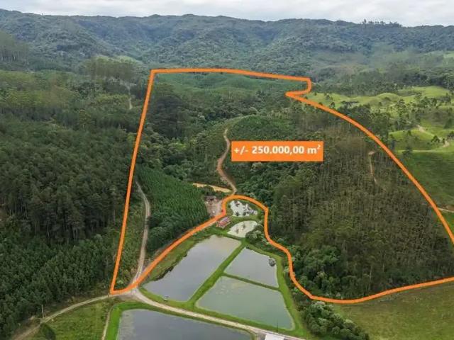 Sítio / Chácara para Venda em Doutor Pedrinho/SC Capivari