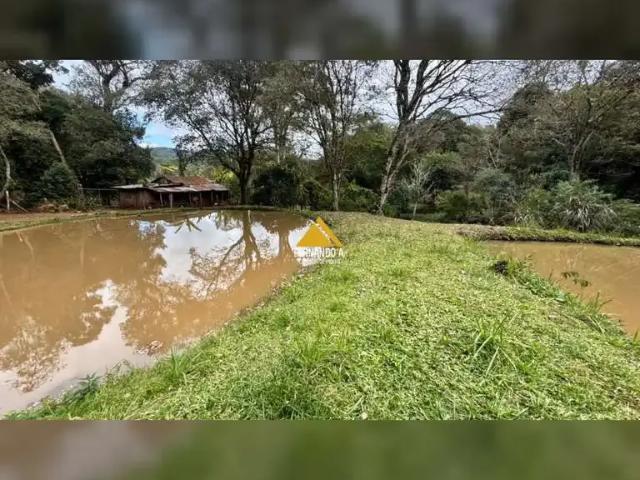 Sítio / Chácara para Venda em Dois Irmãos/RS Travessão 2 Quartos