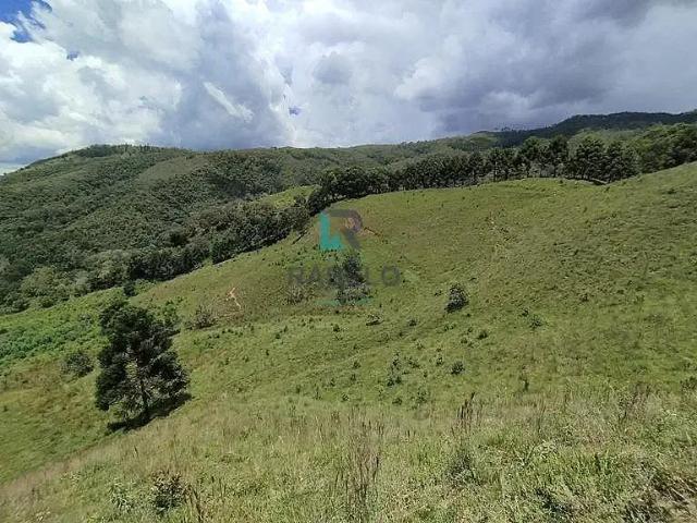 Sítio / Chácara para Venda em Delfim Moreira/MG Zona Rural 3 Quartos