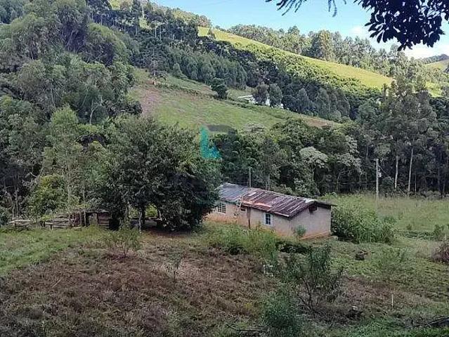 Sítio / Chácara para Venda em Delfim Moreira/MG Centro