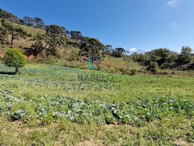 Sítio / Chácara para Venda em Delfim Moreira/MG Centro