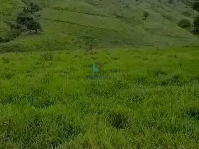 Sítio / Chácara para Venda em Delfim Moreira/MG Centro
