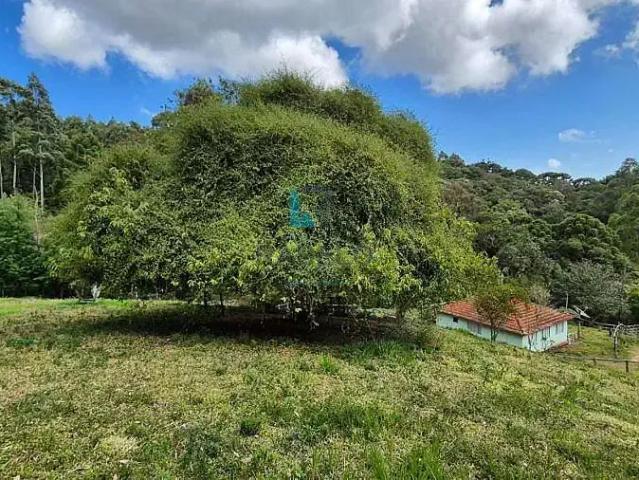 Sítio / Chácara para Venda em Delfim Moreira/MG Góes 3 Quartos