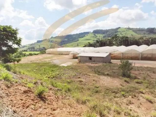 Sítio / Chácara para Venda em Divinolândia/SP Zona Rural 2 Quartos