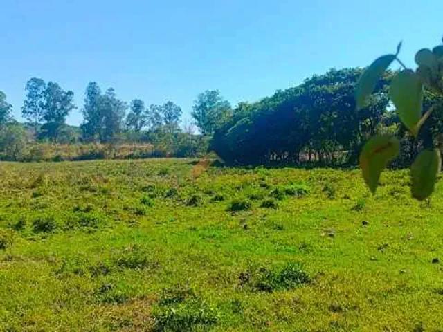 Sítio / Chácara para Venda em Divinópolis/MG Área Rural de Divinópolis 6 Quartos