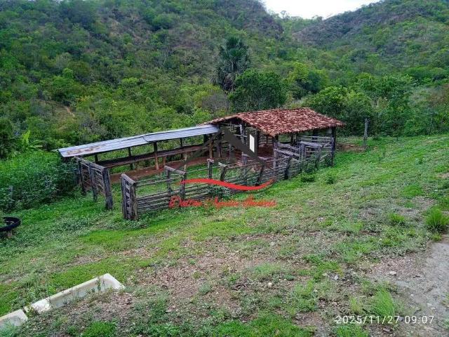 Sítio / Chácara para Venda em Diamantina/MG Senador Mourão