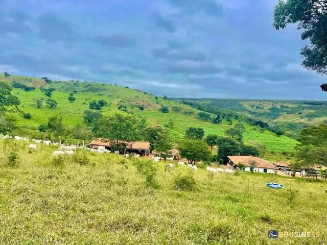 Sítio / Chácara para Venda em Diamantina/MG Zona Rural 4 Quartos
