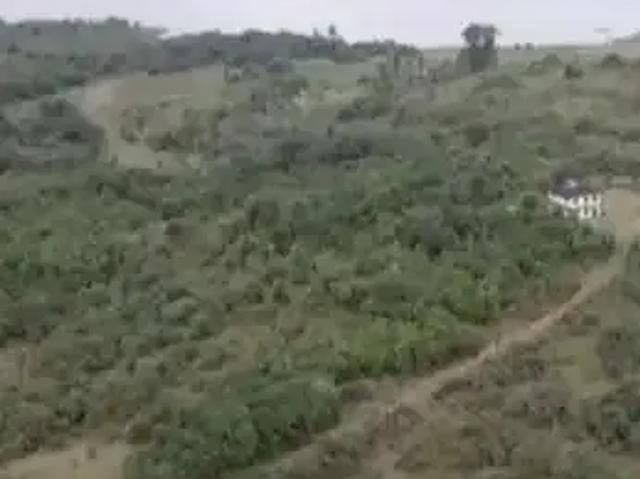 Sítio / Chácara para Venda em Dias D'Ávila/BA Campo Alegre 4 Quartos