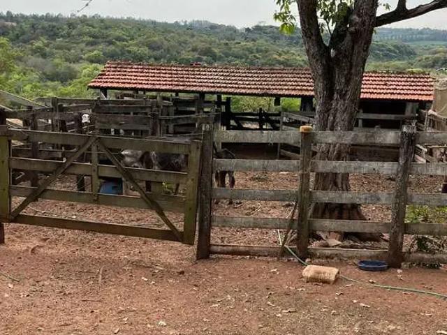 Sítio / Chácara para Venda em Duartina/SP Centro