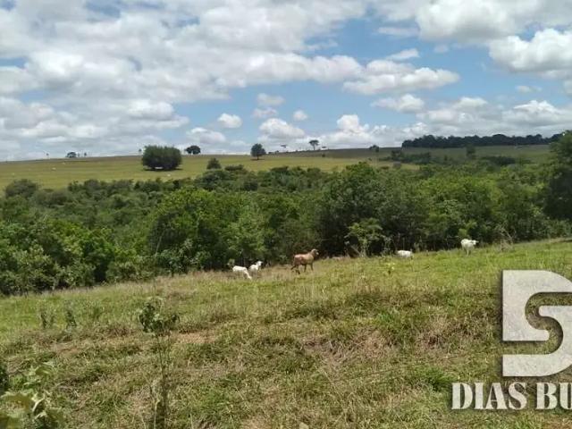 Sítio / Chácara para Venda em Duartina/SP Centro