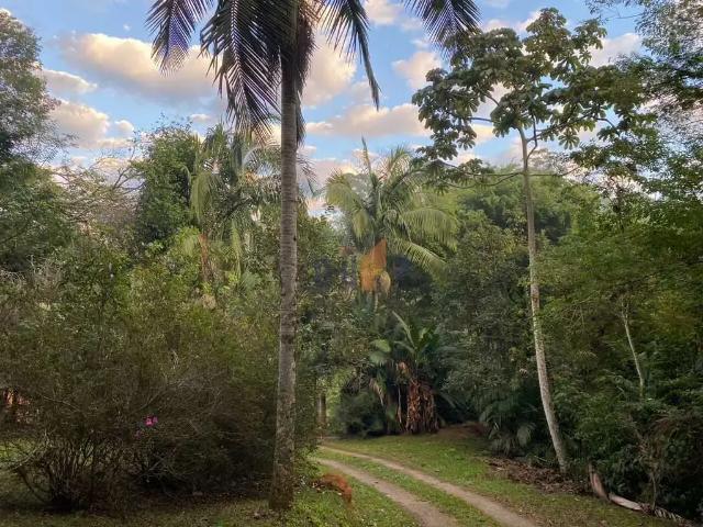 Sítio / Chácara para Venda em Embu das Artes/SP Parque dos Caetes 6 Quartos