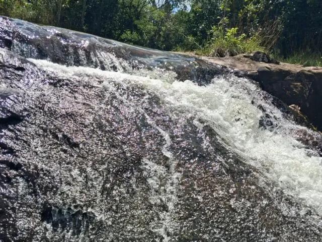 Sítio / Chácara para Venda em Entre Rios/BA Subaúma 1 Quartos