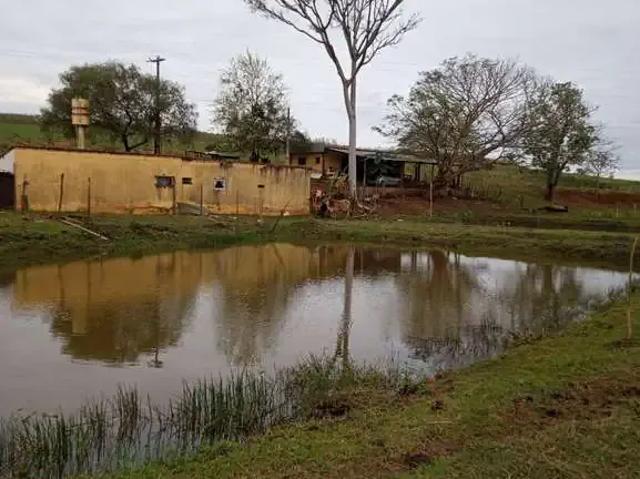 Sítio / Chácara para Venda em Engenheiro Coelho/SP Zona Rural 3 Quartos