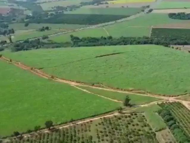 Sítio / Chácara para Venda em Engenheiro Coelho/SP Área Rural de Engenheiro Coelho