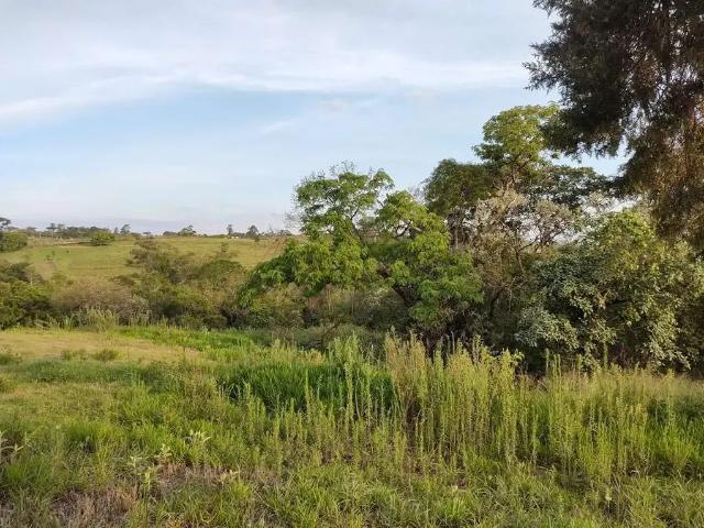 Sítio / Chácara para Venda em Elias Fausto/SP Cardeal
