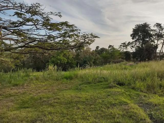 Sítio / Chácara para Venda em Elias Fausto/SP Cardeal