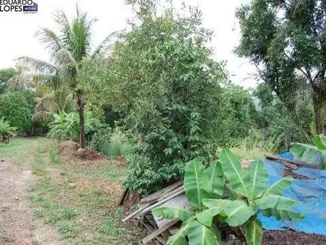Sítio / Chácara para Venda em Elias Fausto/SP Zona Rural 6 Quartos