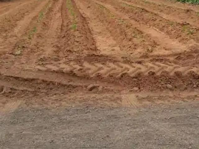 Sítio / Chácara para Venda em Ermo/SC Morro do Soares