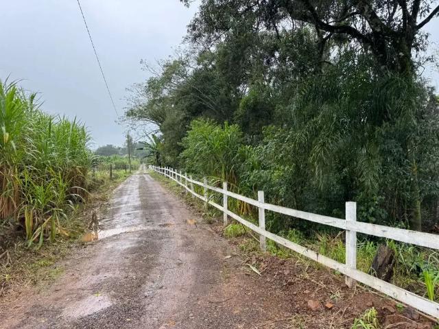 Sítio / Chácara para Venda em Estância Velha/RS Campo Grande