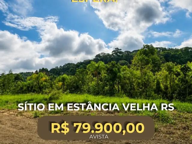 Sítio / Chácara para Venda em Estância Velha/RS Campo Grande 12 Quartos