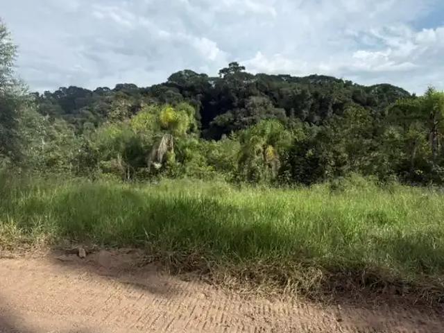 Sítio / Chácara para Venda em Estância Velha/RS Centro