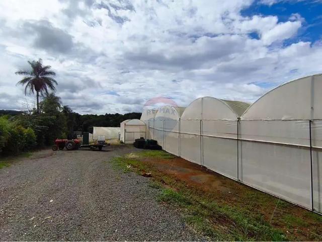 Sítio / Chácara para Venda em Estiva Gerbi/SP Portal das Andorinhas