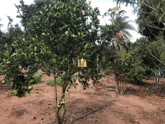 Sítio / Chácara para Venda em Esmeraldas/MG Caracóis 2 Quartos